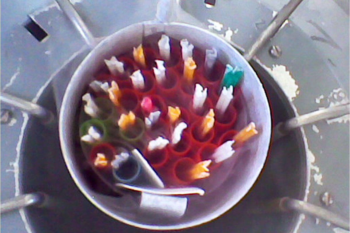 Banco Português de Germoplasma Animal — INIAV